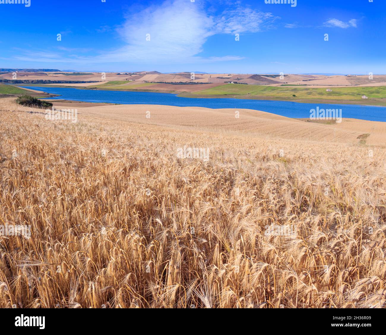 Between Apulia and Basilicata: Lake Basentello ( or Serra del Corvo ...