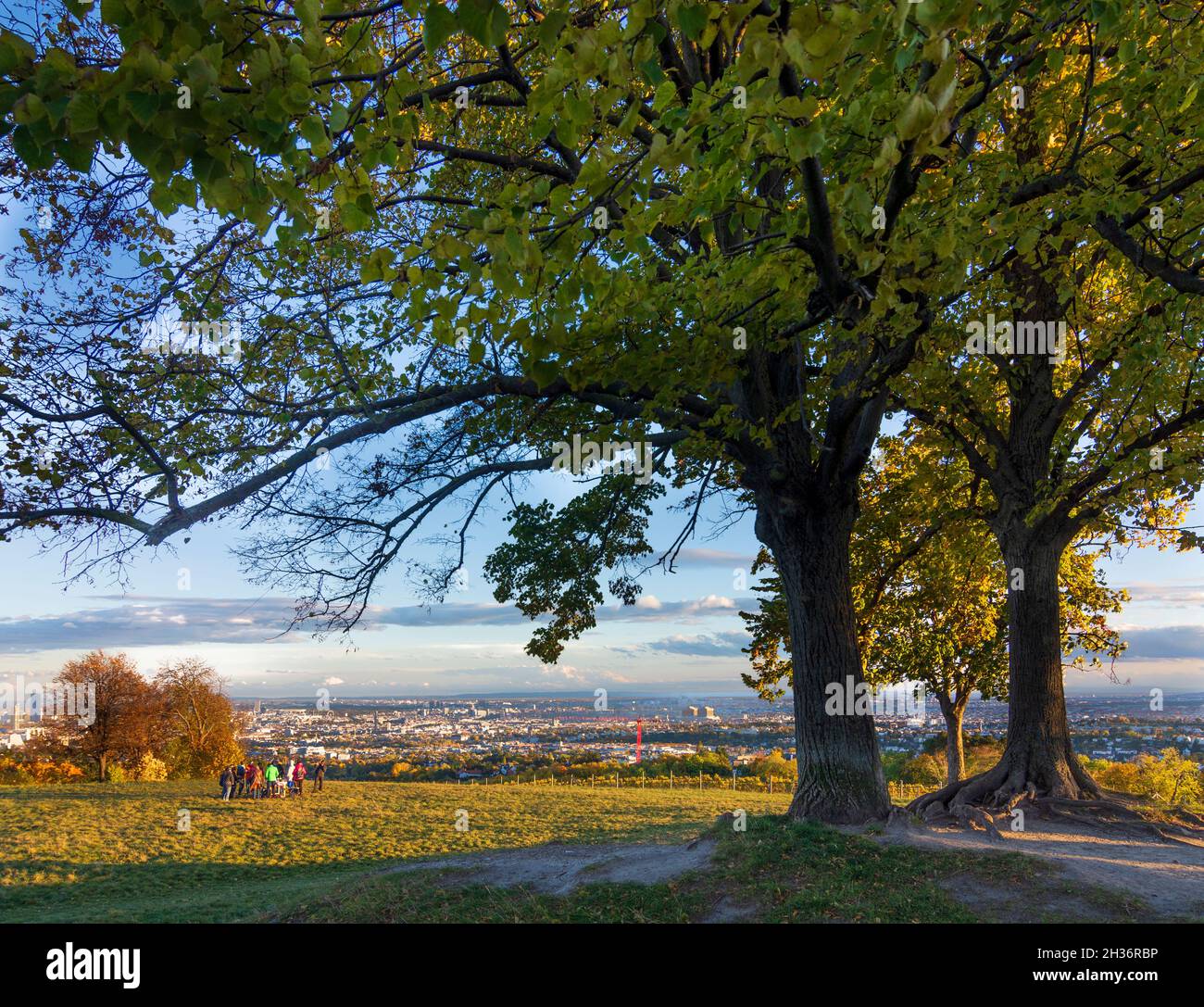 Wien, Vienna: meadow Bellevuewiese, view to Vienna, trees, autumn ...