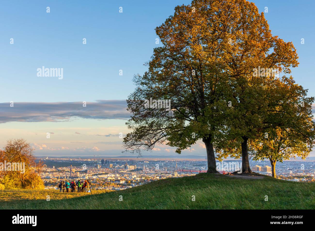 Wien, Vienna: meadow Bellevuewiese, view to Vienna, trees, autumn ...