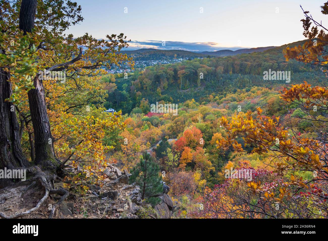 Wien, Vienna: former quarry Sievering, view to Neustift am Walde in 19 ...