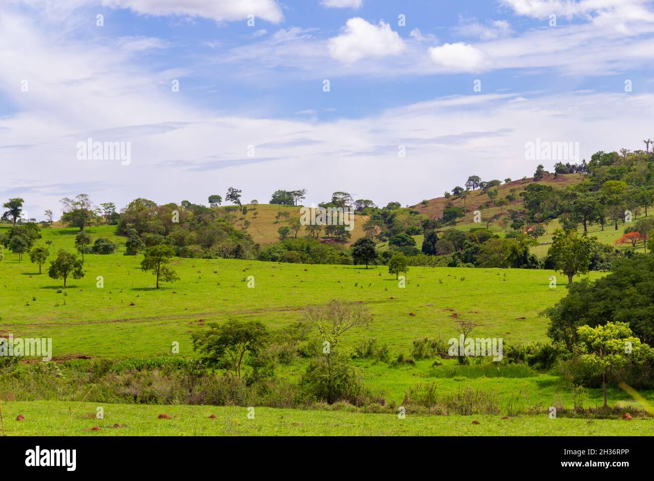 A landscape of the GO-070 Highway on a cloudy morning in the state of ...