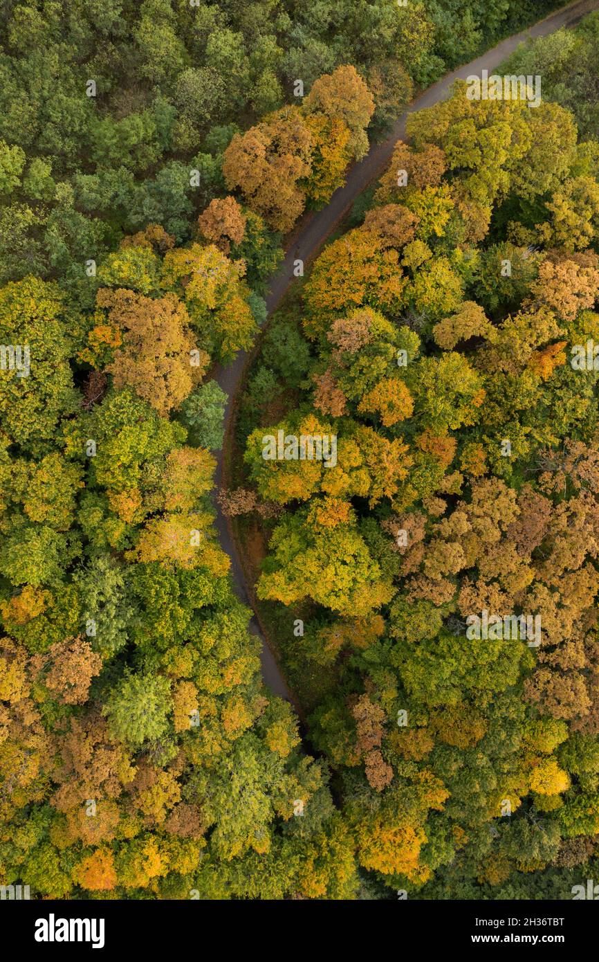 Aerial oak woodland europe hi-res stock photography and images - Alamy
