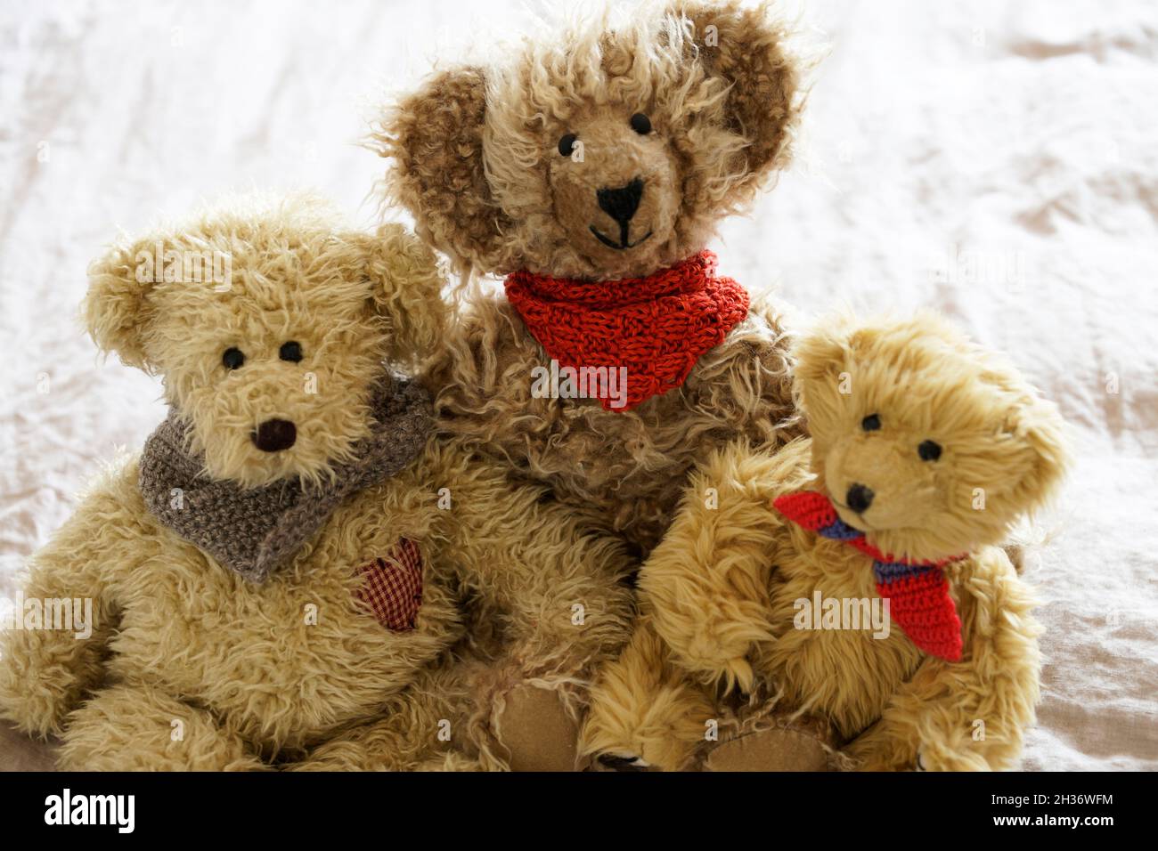 Teddy Suss High Resolution Stock Photography and Images - Alamy