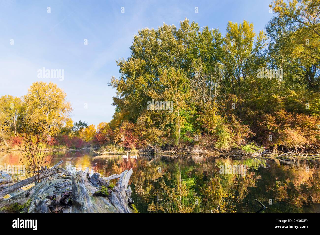 Wien, Vienna: oxbow lake of river Donau (Danube), island Donauinsel ...