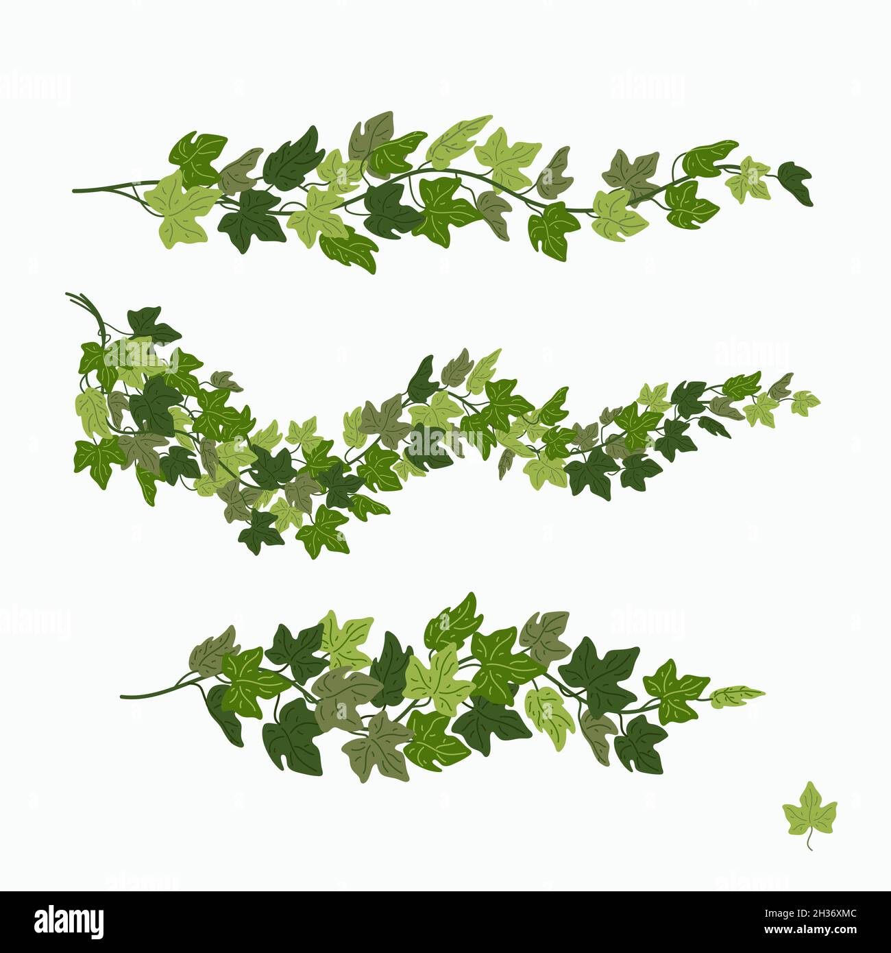 Poison ivy vine Stock Vector Images - Alamy