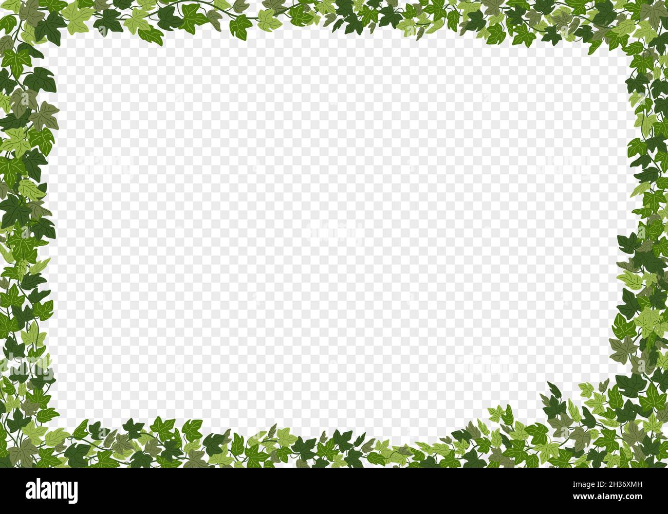 Ivy frame, green vines decorative frame. Vector illustration in flat ...
