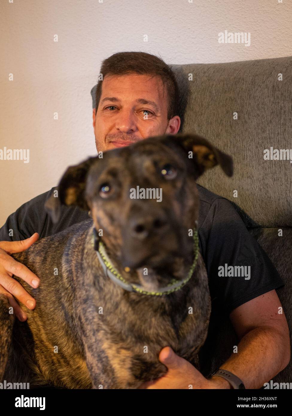 Man and the big brown dog together on the couch in the room Stock Photo ...