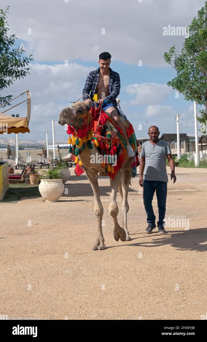 Camel riding israel hi-res stock photography and images - Alamy