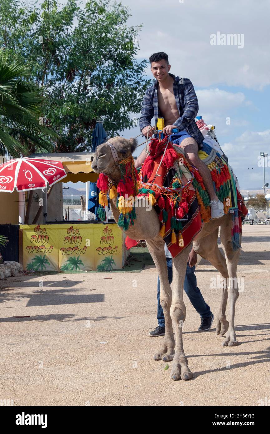 Camel riding israel hi-res stock photography and images - Alamy