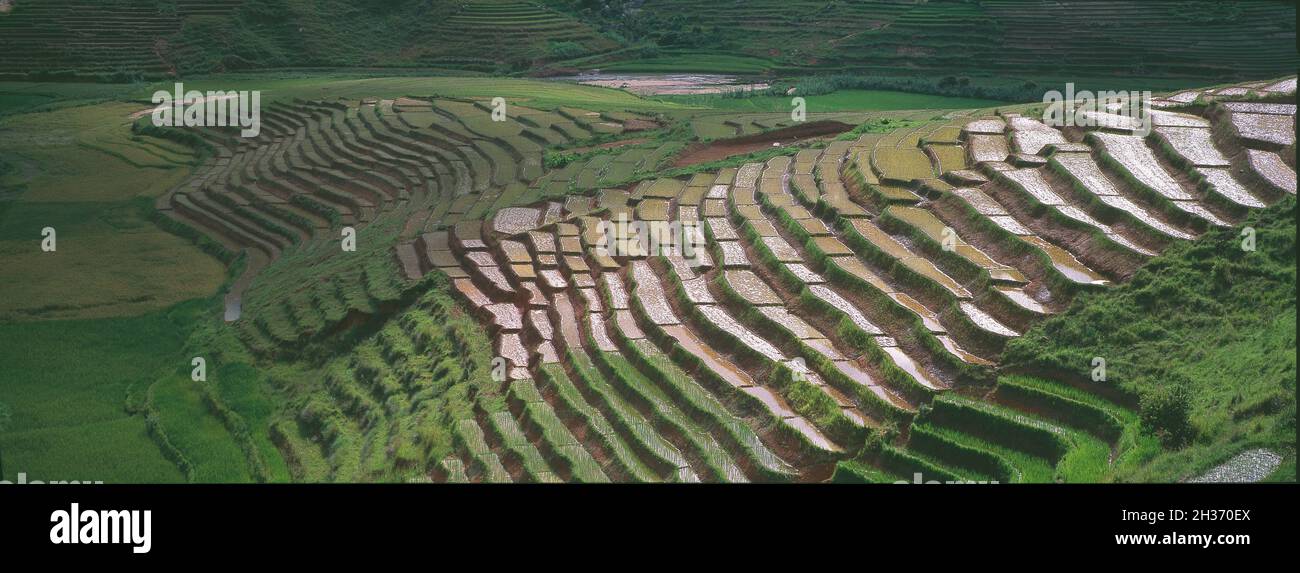 MADAGASCAR, HIGHLANDS, RICE FIELDS NEAR AMBALAVAO Stock Photo - Alamy