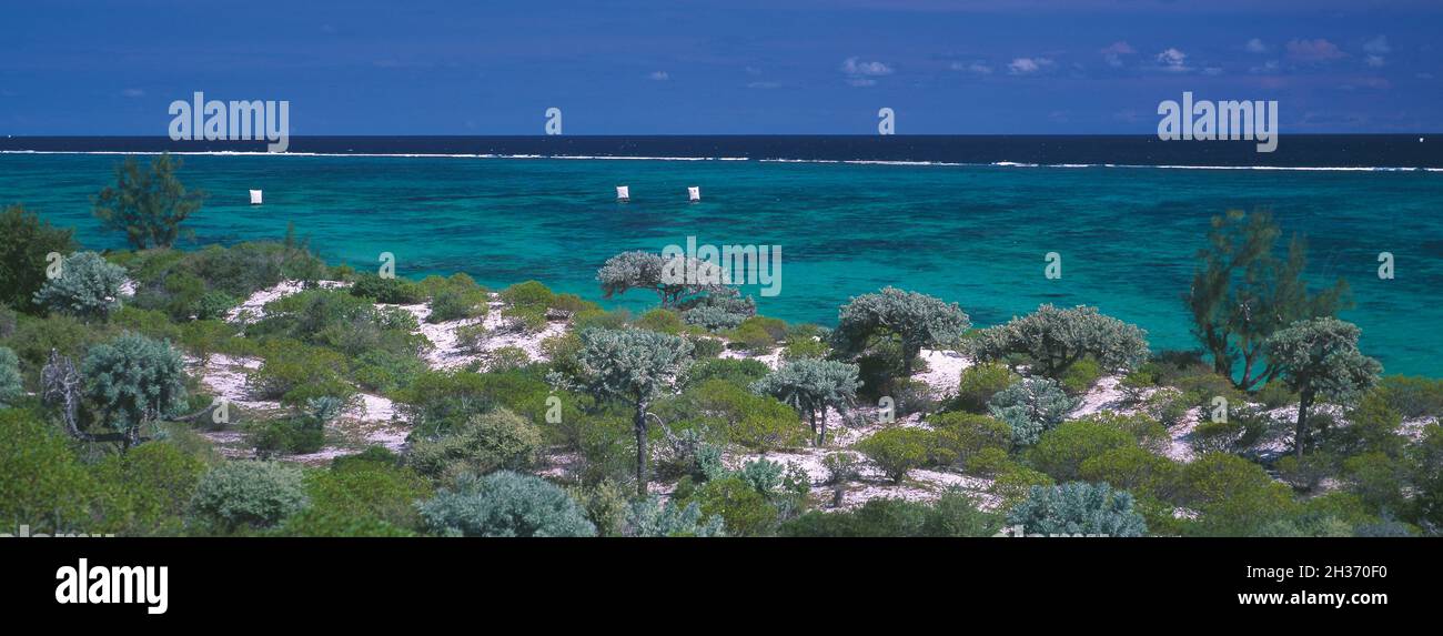 Ambola hi-res stock photography and images - Alamy