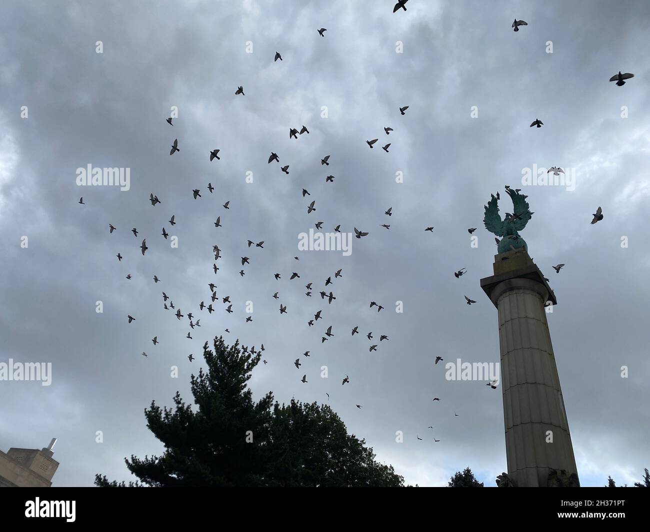Pigeons fill a cloudy sky above Grand Army Plaza at Prospect Park; in ...