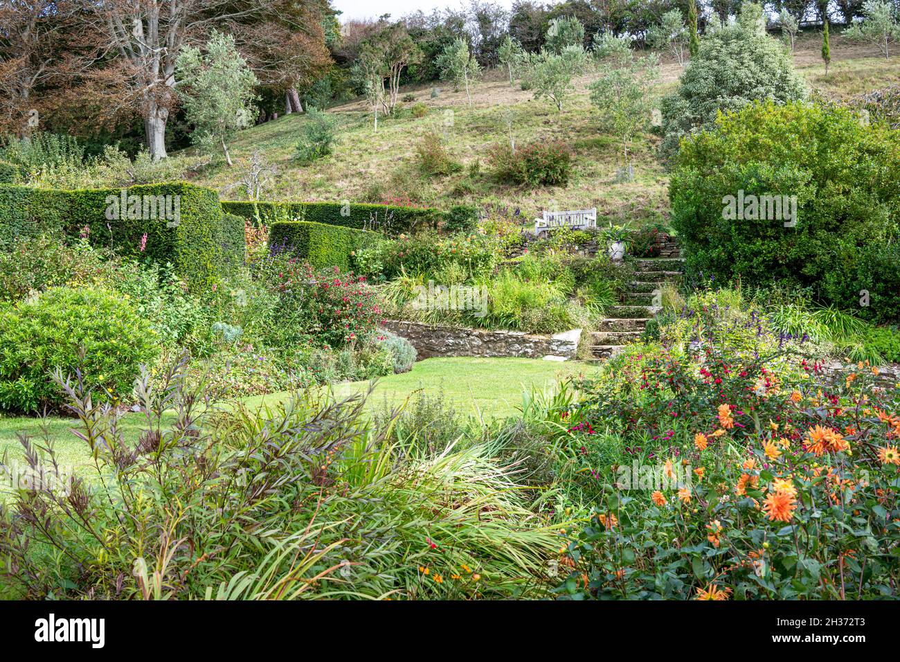 Mottistone manor and gardens hi-res stock photography and images - Alamy