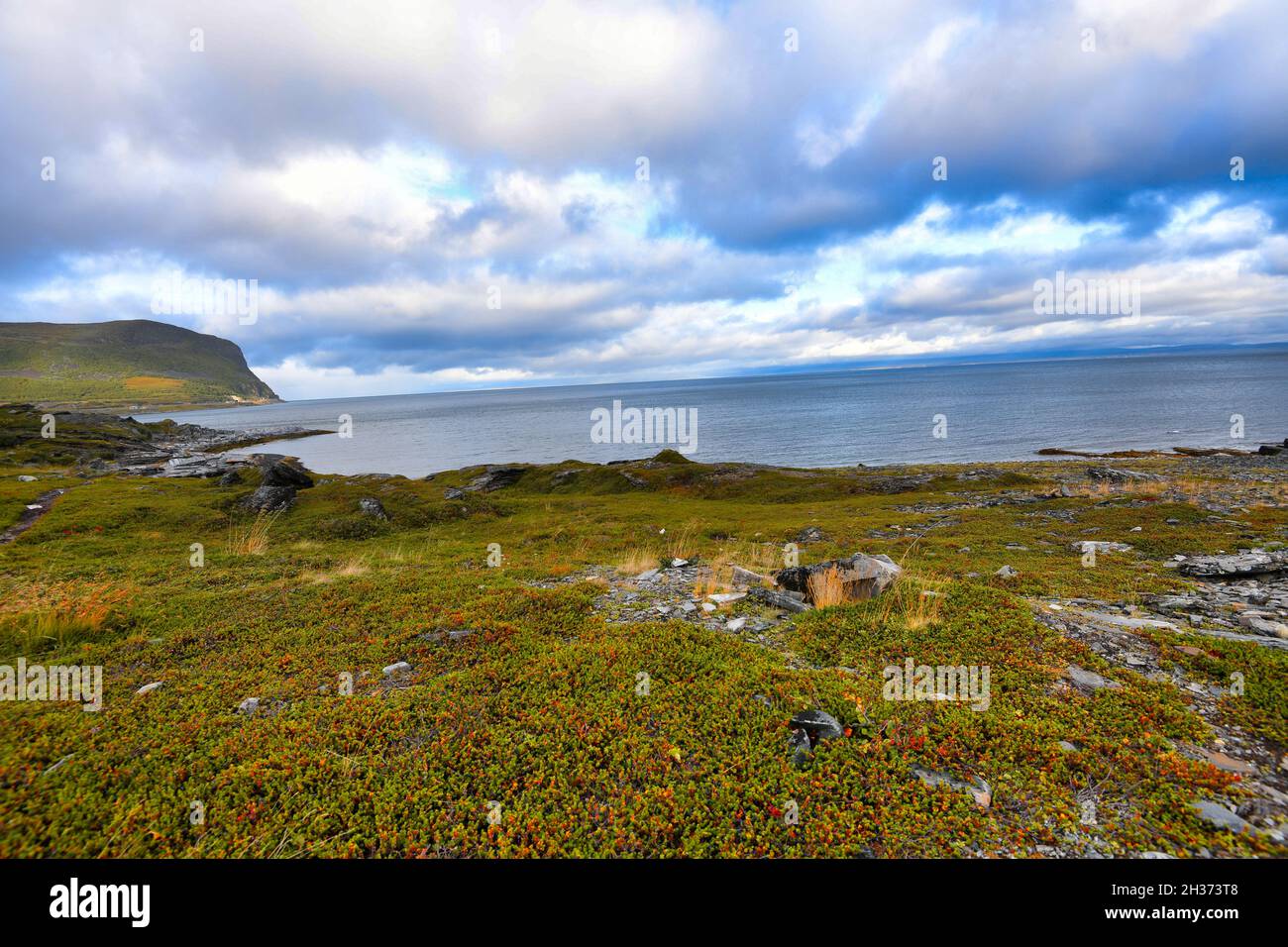 Skandinavija hi-res stock photography and images - Alamy