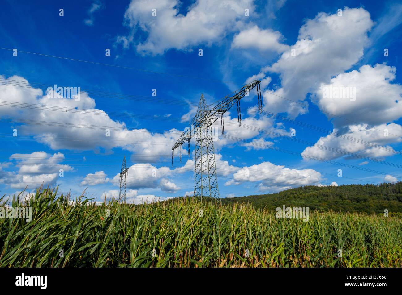 Pylon with power lines for electricity Stock Photo - Alamy