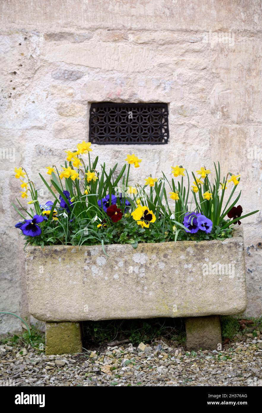 A Cotswold stone trough with spring flowers Stock Photo - Alamy