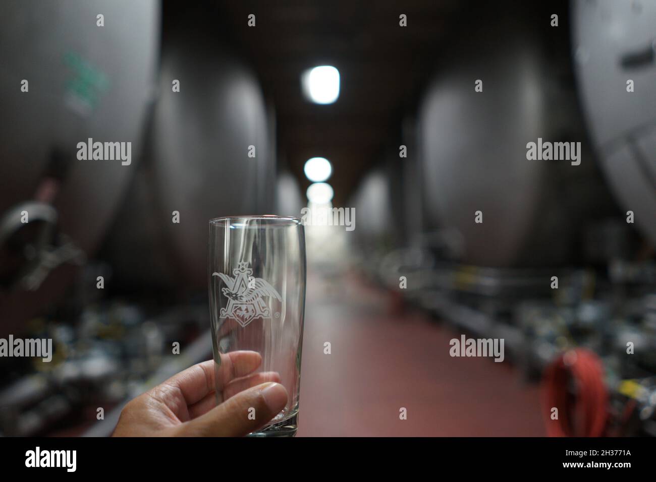 KANSAS CITY, UNITED STATES - Oct 18, 2015: The famous Budweiser beer in ...