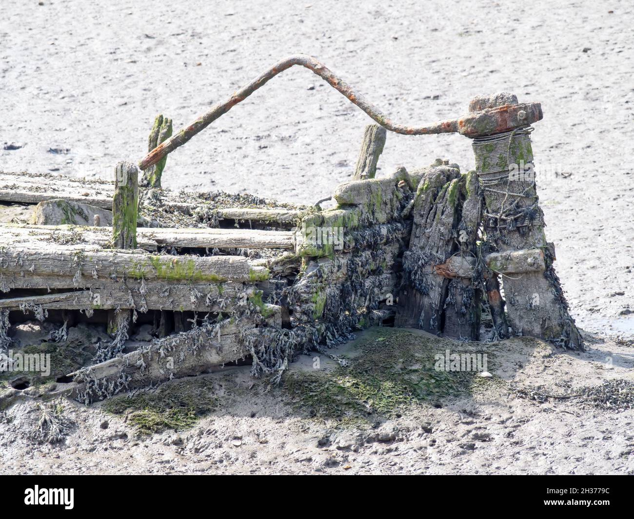 Rusty old rudder on remains of wooden boat, River Torridge, Devon Stock ...