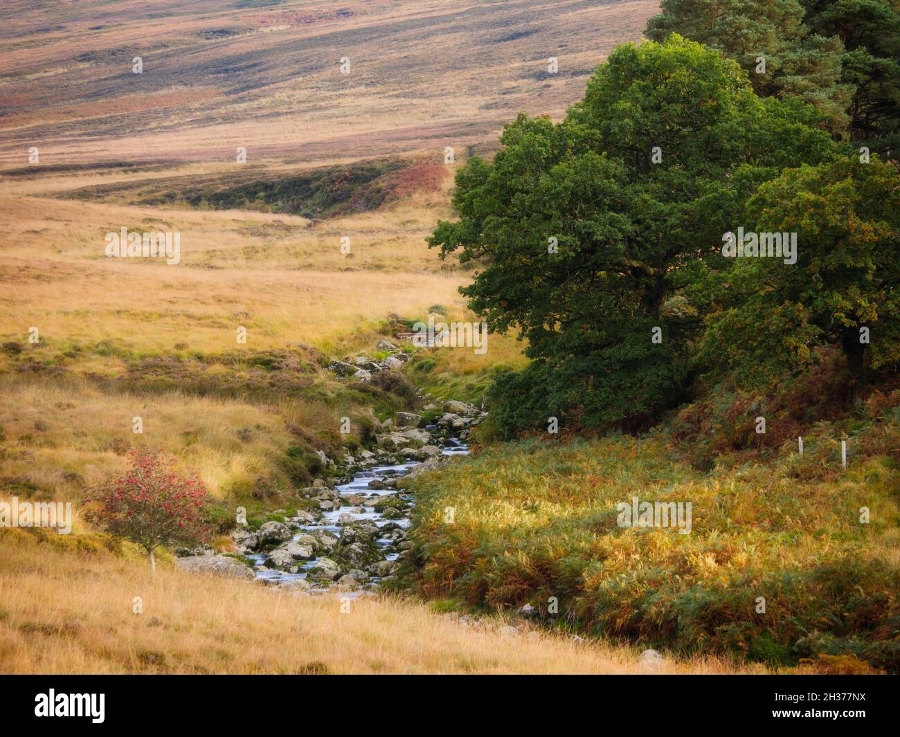 Holy well spring water uk hi-res stock photography and images - Alamy