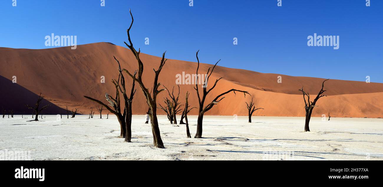 NAMIBIA, NAMIB DESERT, DEAD PAN Stock Photo - Alamy