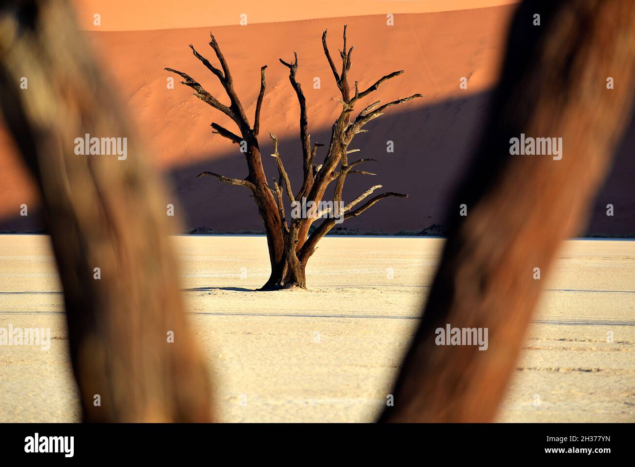 NAMIBIA, NAMIB DESERT, DEAD PAN Stock Photo - Alamy