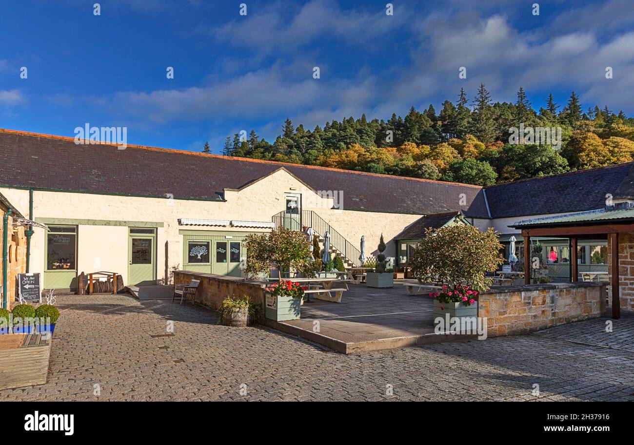 LOGIE STEADING FORRES MORAY SCOTLAND THE COURTYARDS AND OLIVE TREE CAFE ...