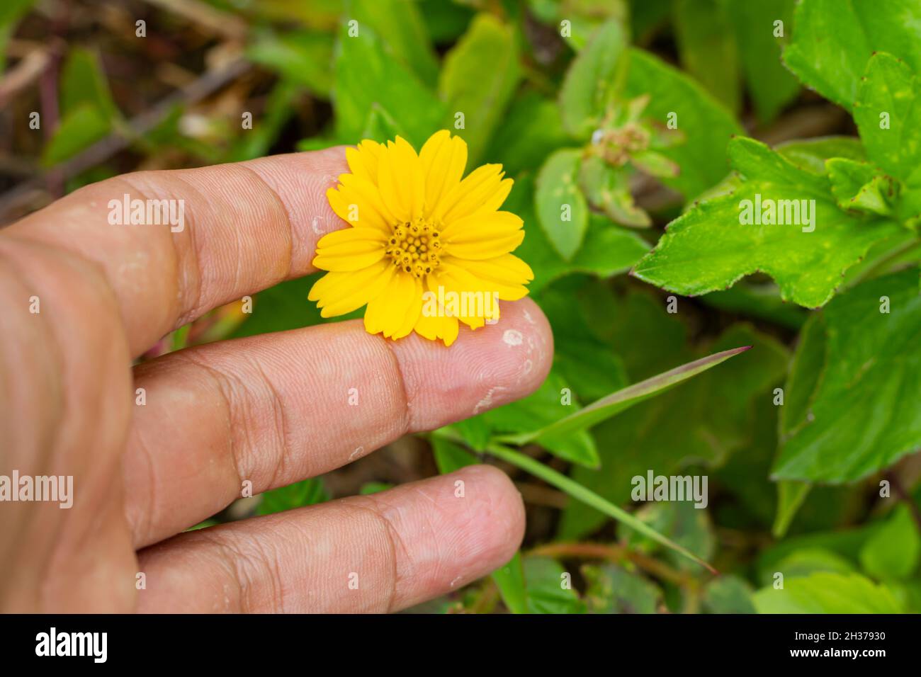 Hand images hi-res stock photography and images - Alamy