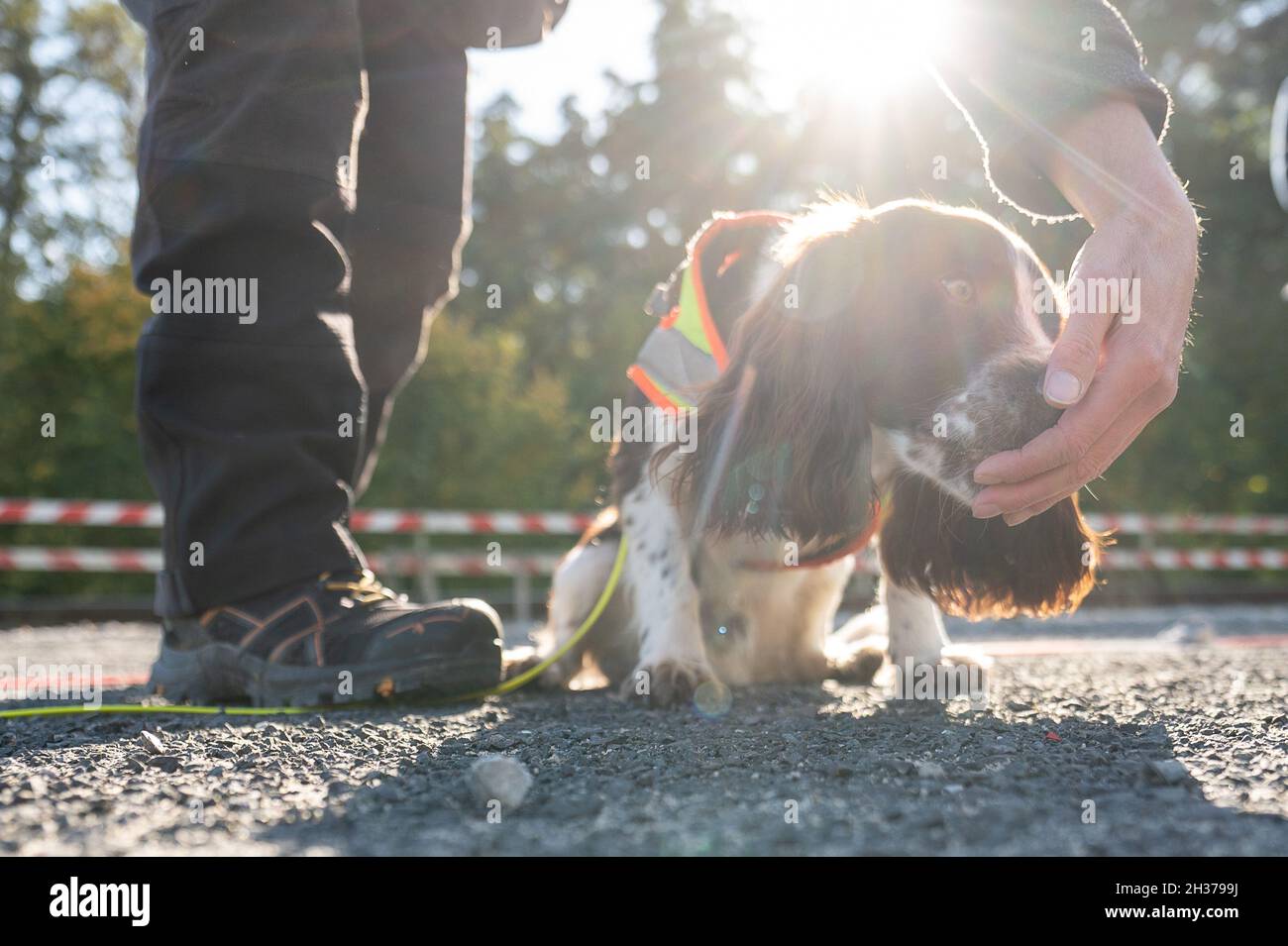 26 October 2021, Hessen, Frankfurt/Main: The species protection sniffer ...