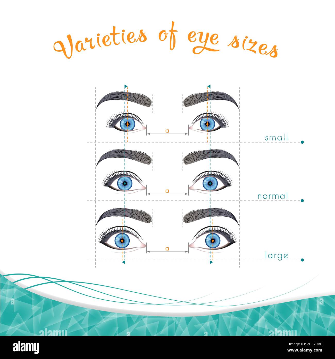Eye sizes on a white background Stock Photo - Alamy