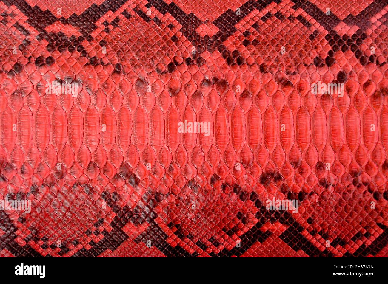 Natural snake skin is used for luxury clothes and accessories, suitable ...