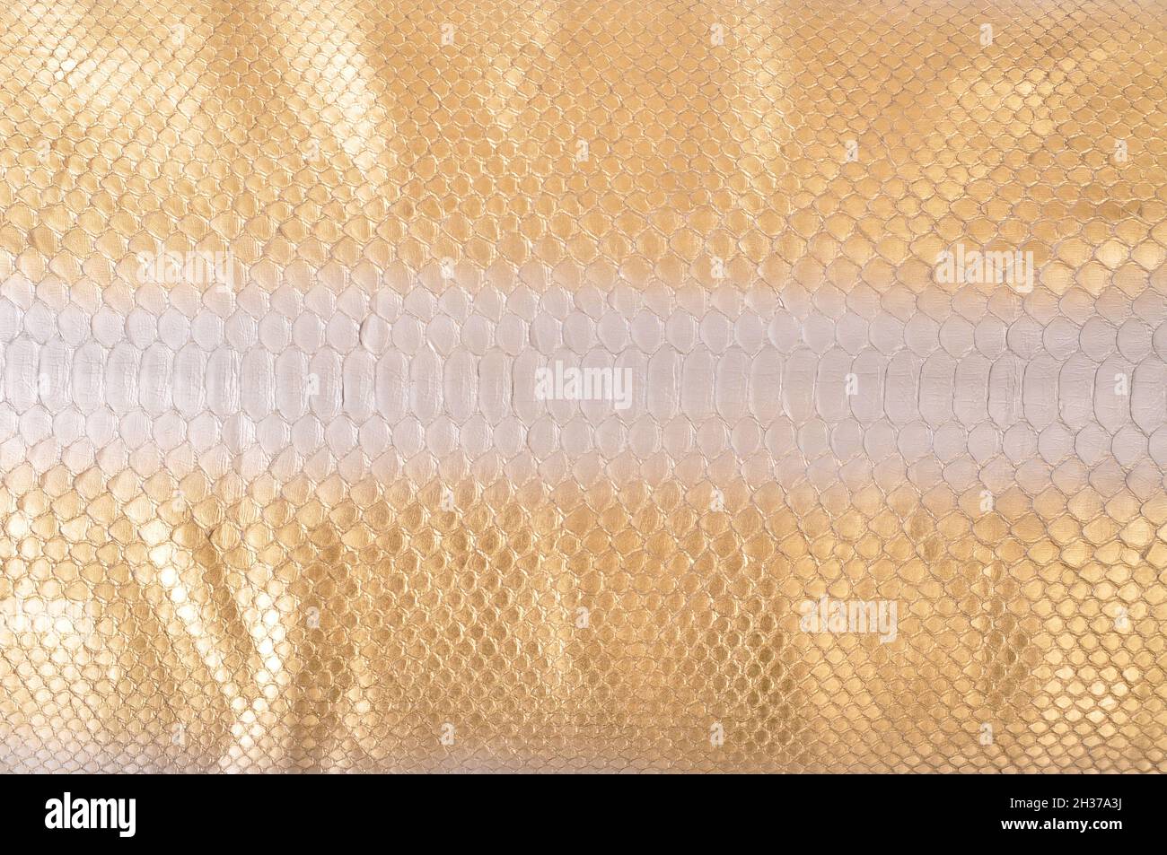 Natural snake skin is used for luxury clothes and accessories, suitable ...