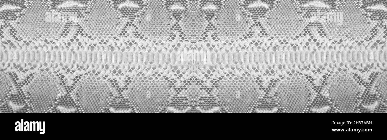 Natural snake skin is used for luxury clothes and accessories, suitable ...