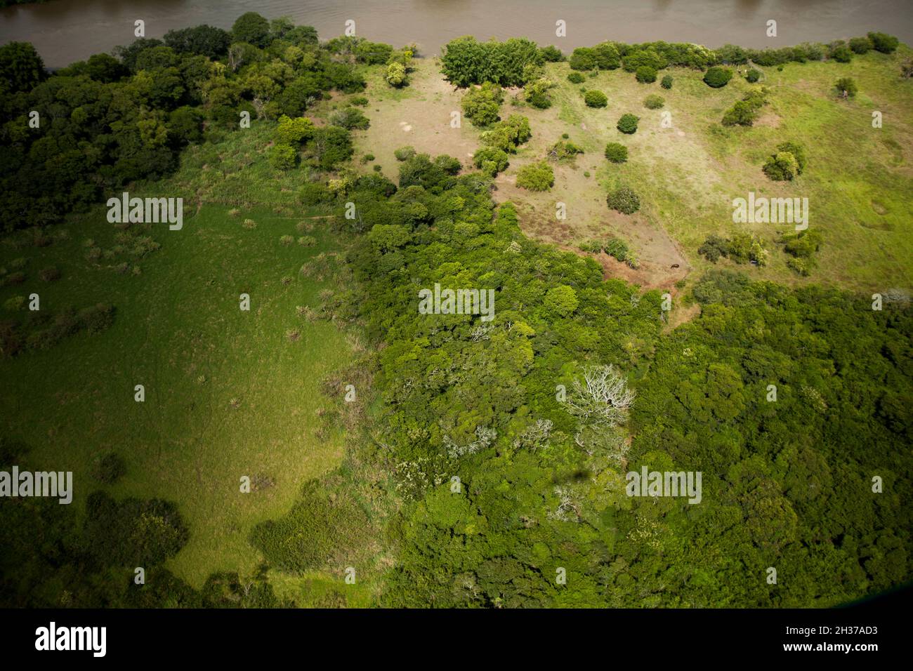 Aerial view of green forest. High quality photo Stock Photo - Alamy