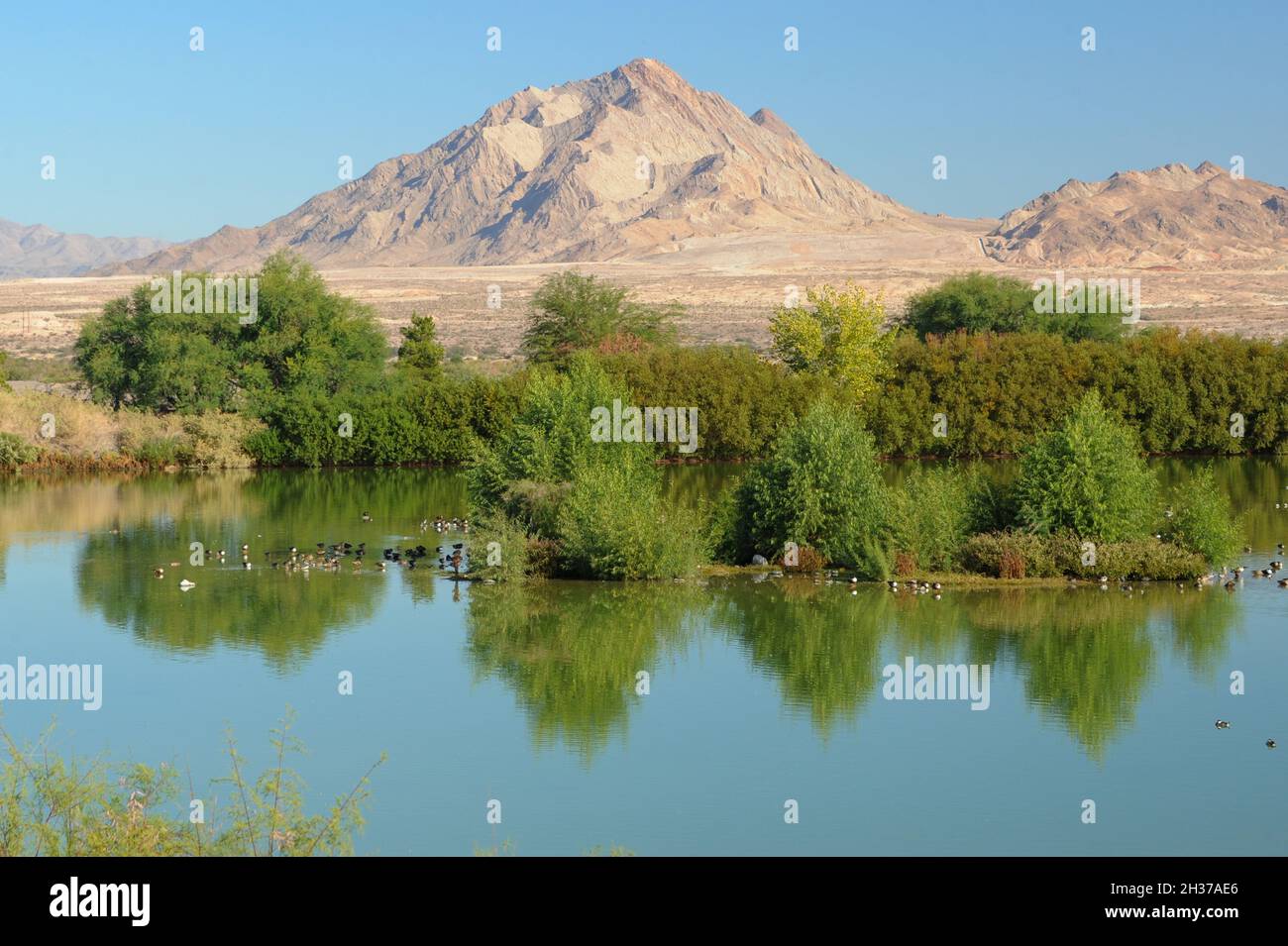 Henderson bird viewing preserve hi-res stock photography and images - Alamy