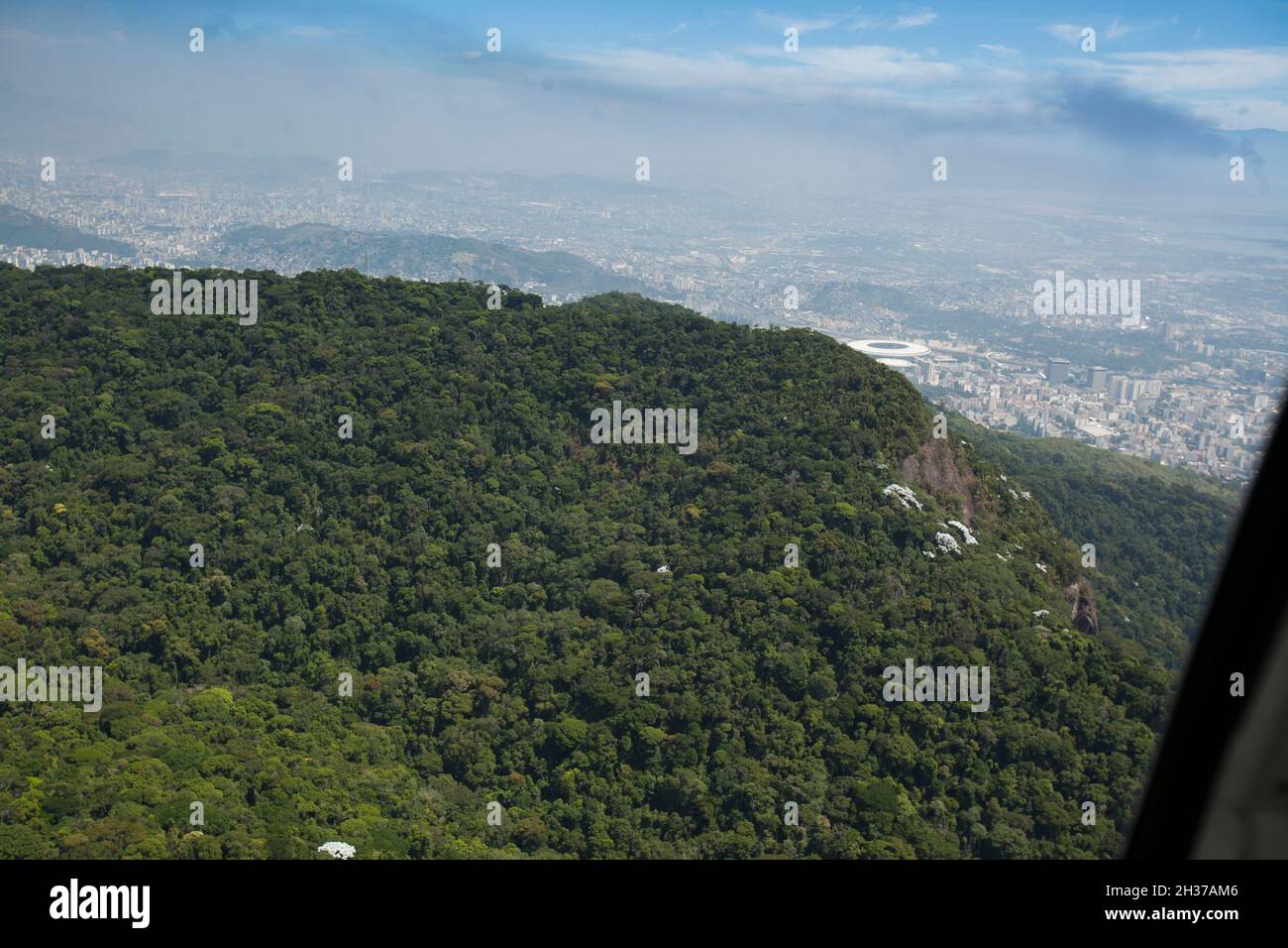 Aerial view of green forest. High quality photo Stock Photo - Alamy