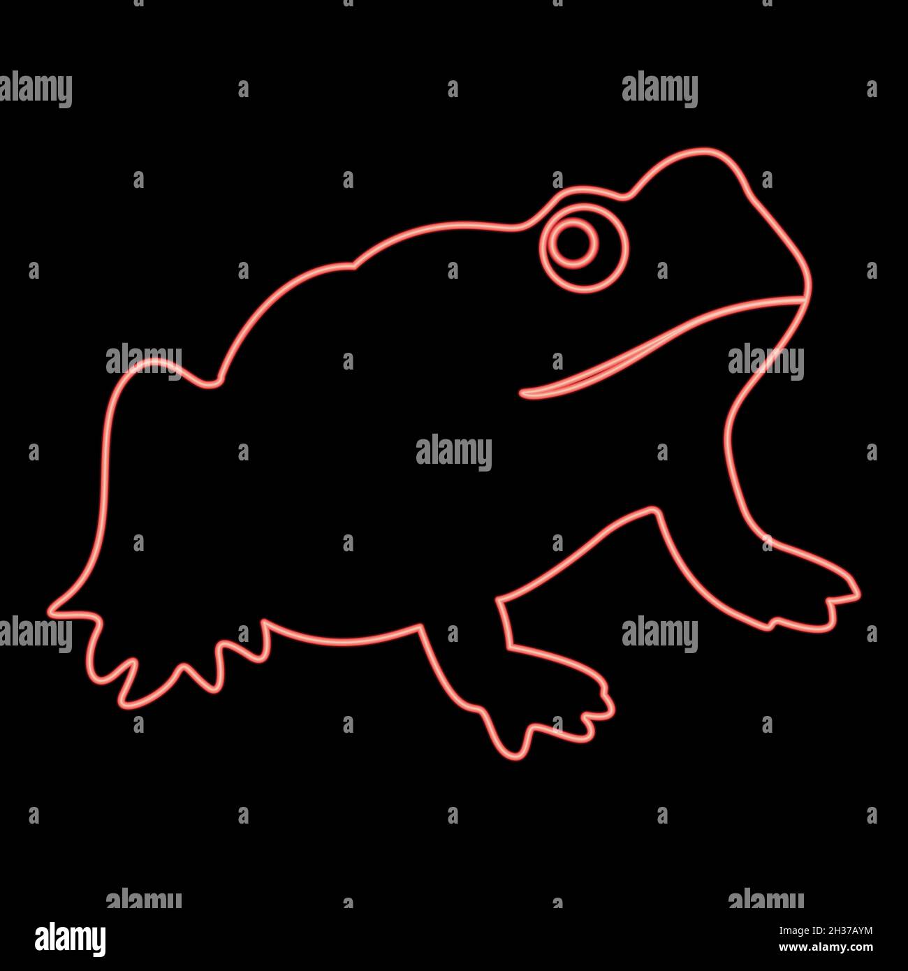 Bullfrog tadpole Stock Vector Images - Alamy