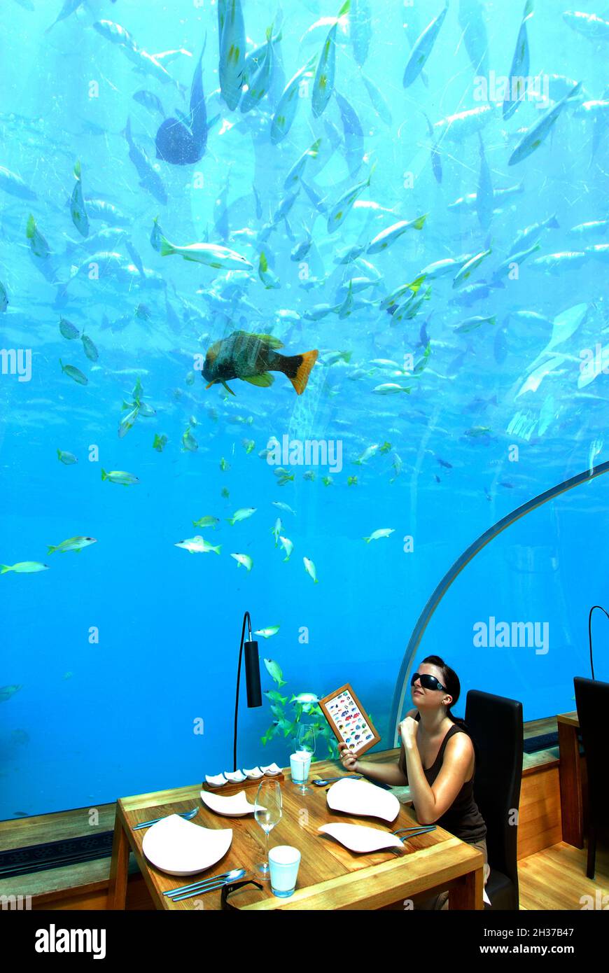 MALDIVES, SOUTH ARI ATOLL, RANGALI ISLAND, CONRAD HOTEL RESORT & SPA ...