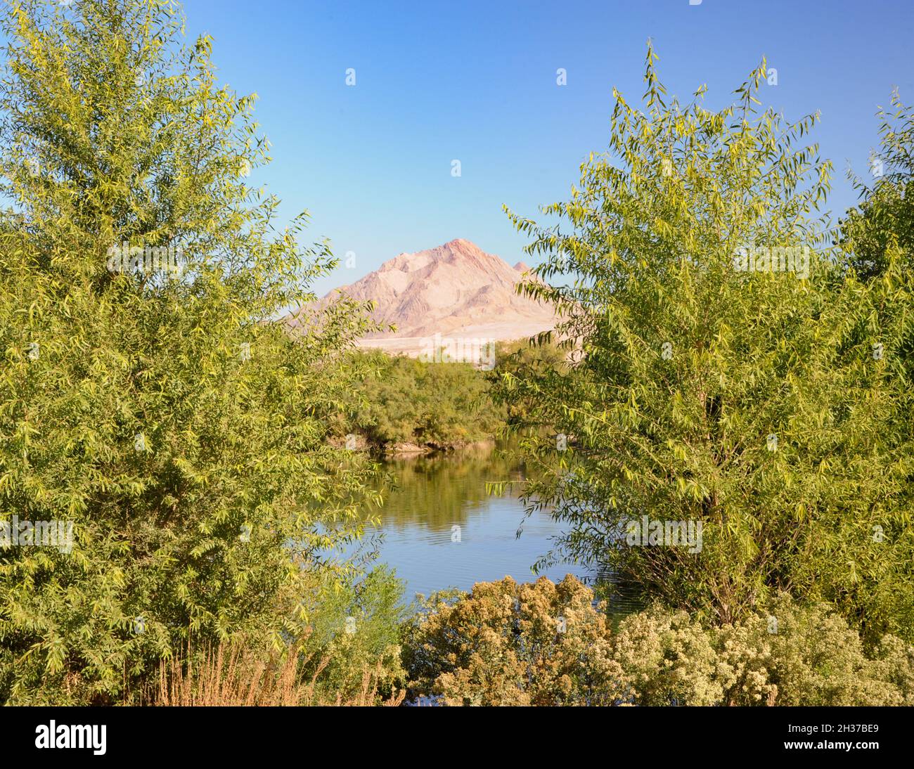 Henderson bird viewing preserve hi-res stock photography and images - Alamy