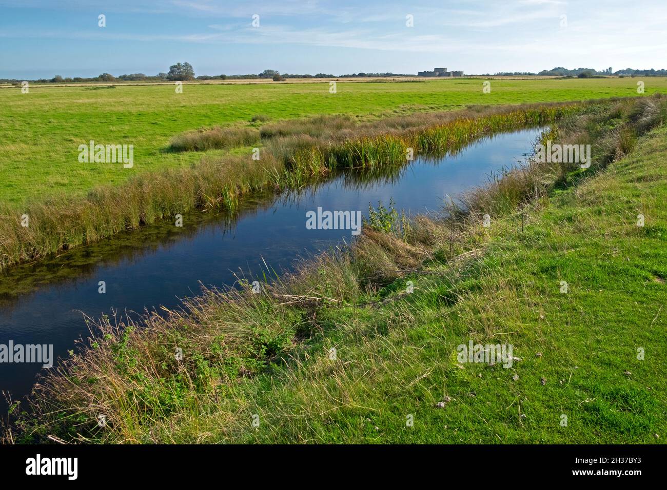 Water and reeds in ditch in landscape and Camber Castle on horizon in ...