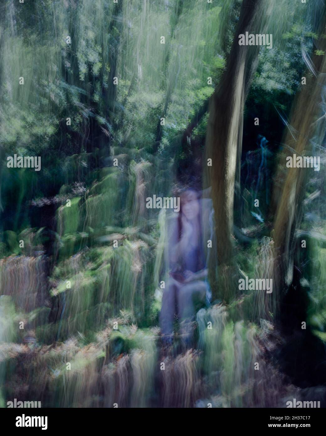 Feeling Connected In The Undergrowth Of The Forest Stock Photo - Alamy