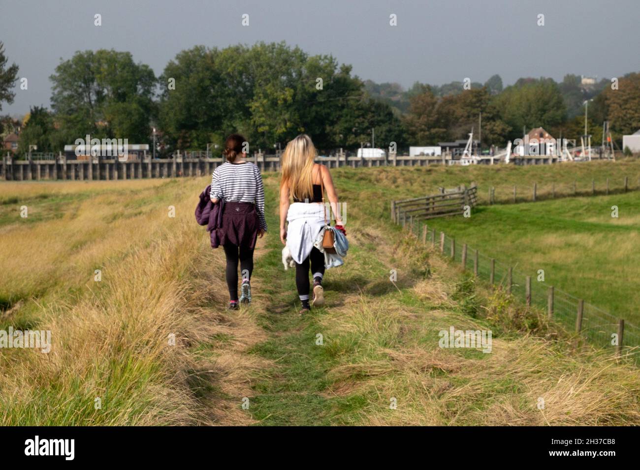 Rear view Back young women walking on footpath in Romney Marsh ...