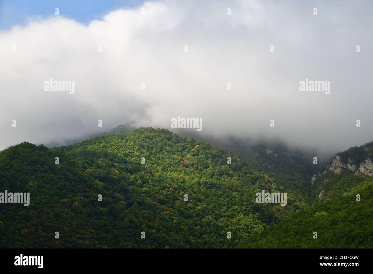 Caucasus mountains landscape in Chechnya, Russia. Argun gorge in the ...