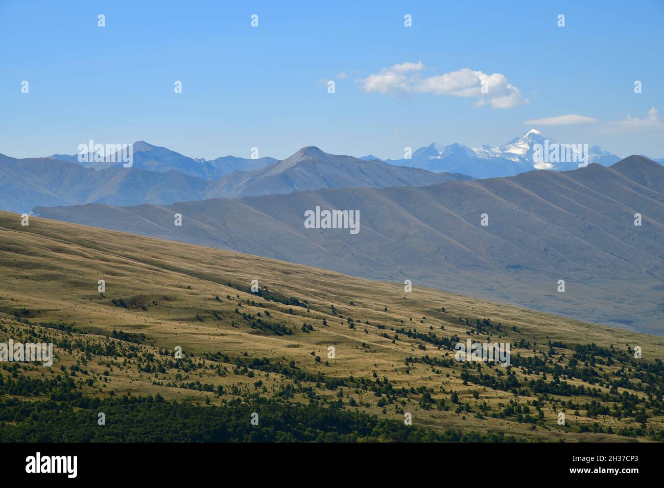 Caucasus alpine meadow and mountains landscape in Chechnya, Russia ...