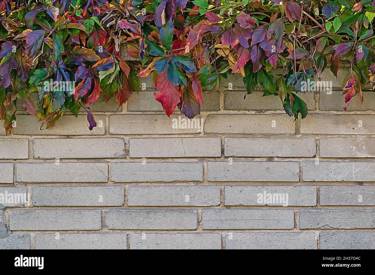 Brick wall decorated with colorful autumn foliage Stock Photo - Alamy