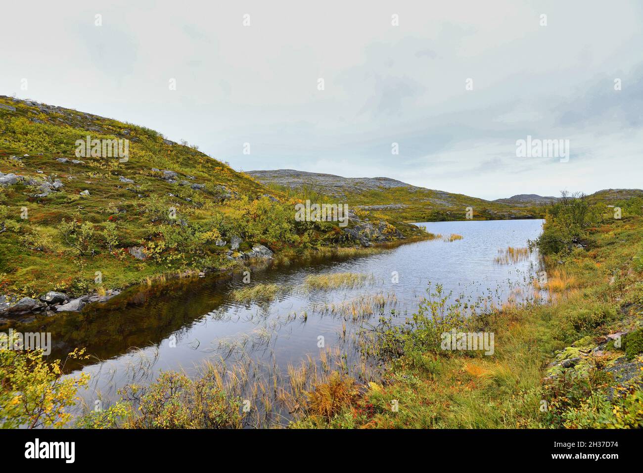 Skandinavija hi-res stock photography and images - Alamy