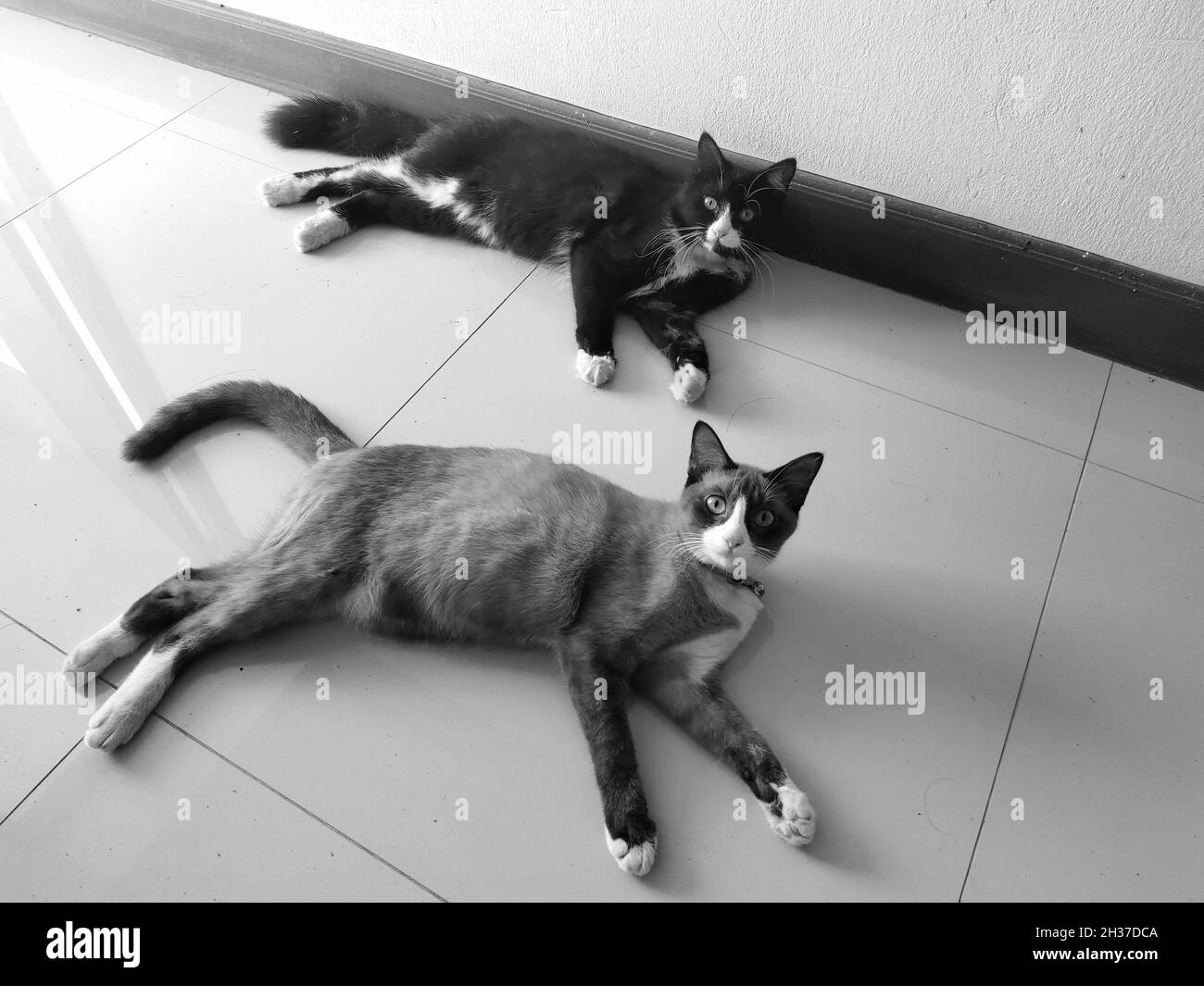 Watching sleep Black and White Stock Photos & Images - Alamy