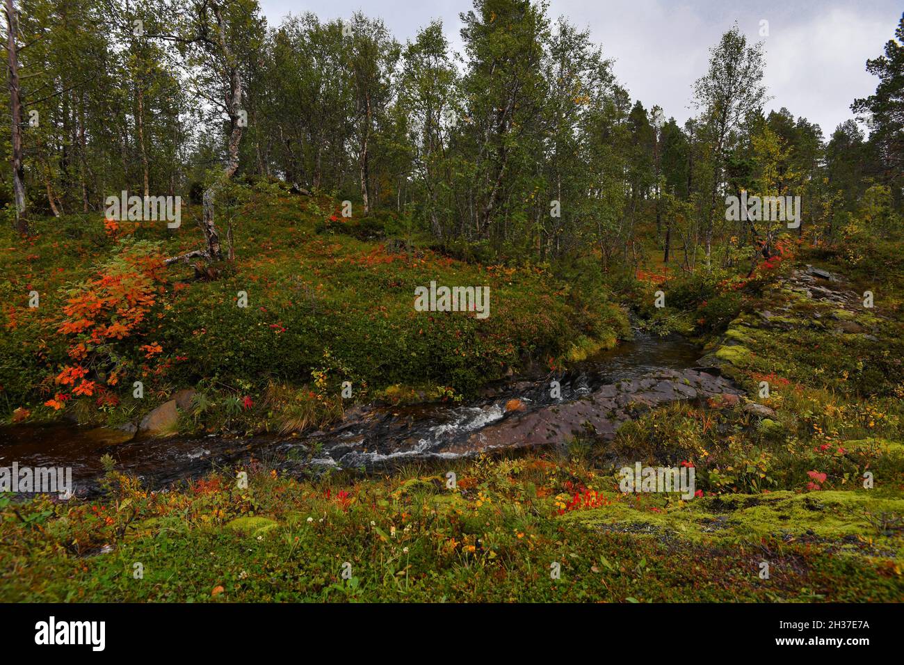Skandinavija hi-res stock photography and images - Alamy