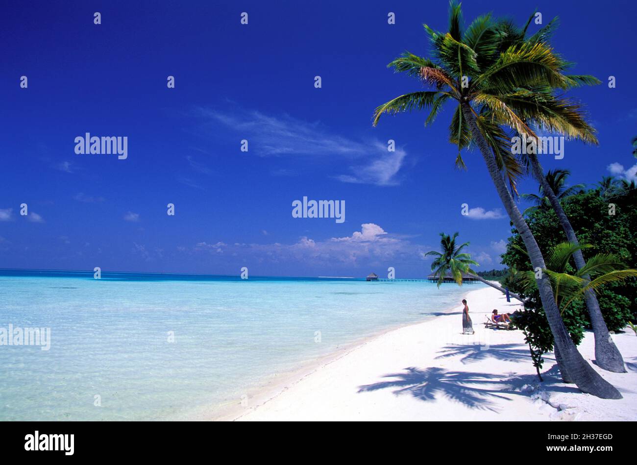 MALDIVES, MEEMU ATOLL. MEDHUFUSHI ISLAND Stock Photo - Alamy