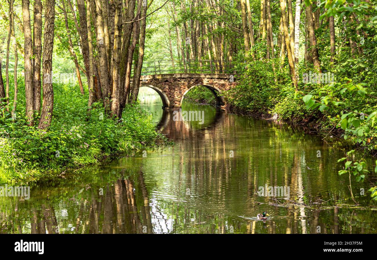 stylized stone bridge in retro style in a city park of Europe Stock ...