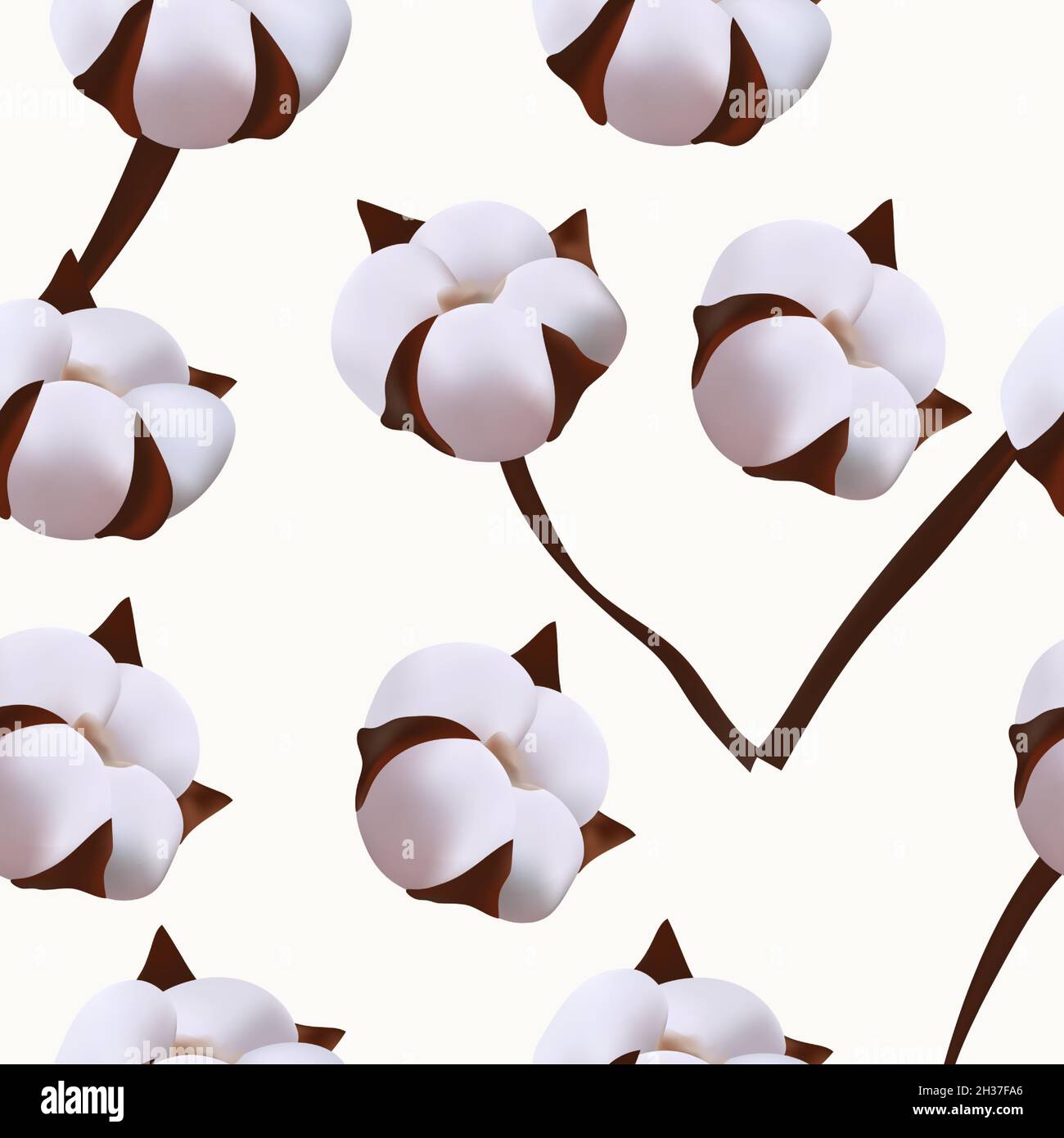 Cotton plant botanical drawing hi-res stock photography and images - Alamy